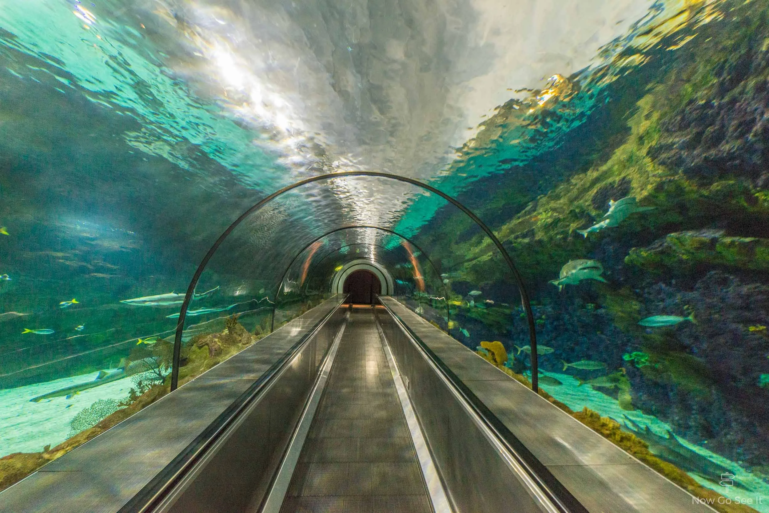 Sea World - San Diego — Now Go See It - A Worldwide Travel Blog - A ...