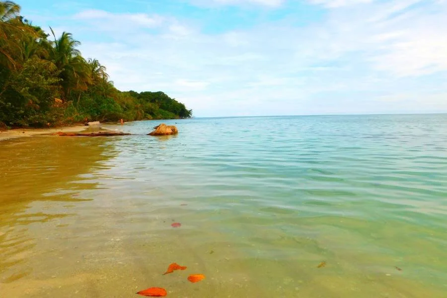 Cruise Port Puerto Limon, Costa Rica: Puerto Limon Guide