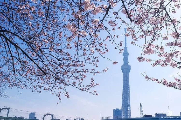 Visiting Tokyo Skytree and Skytree Town [FULL GUIDE]