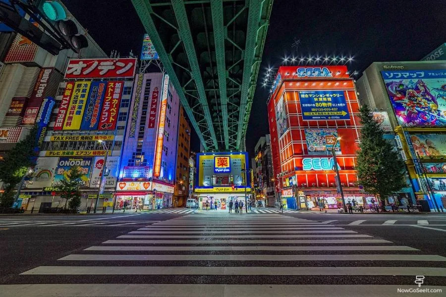 50 Things To Do in Tokyo: Ultimate Tokyo Bucket List