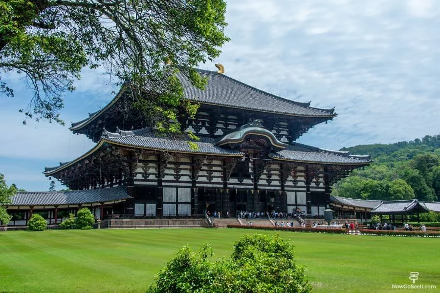 Nara Park Day Trip: Nara Half Day Itinerary (Osaka / Kyoto)