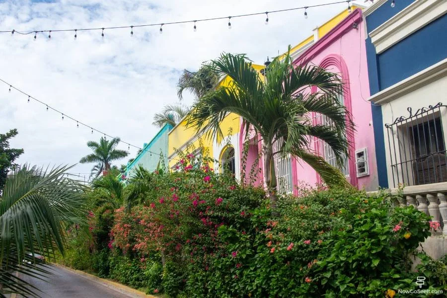 Cruise Port Mazatlan: One Day On Your Own in Mazatlán