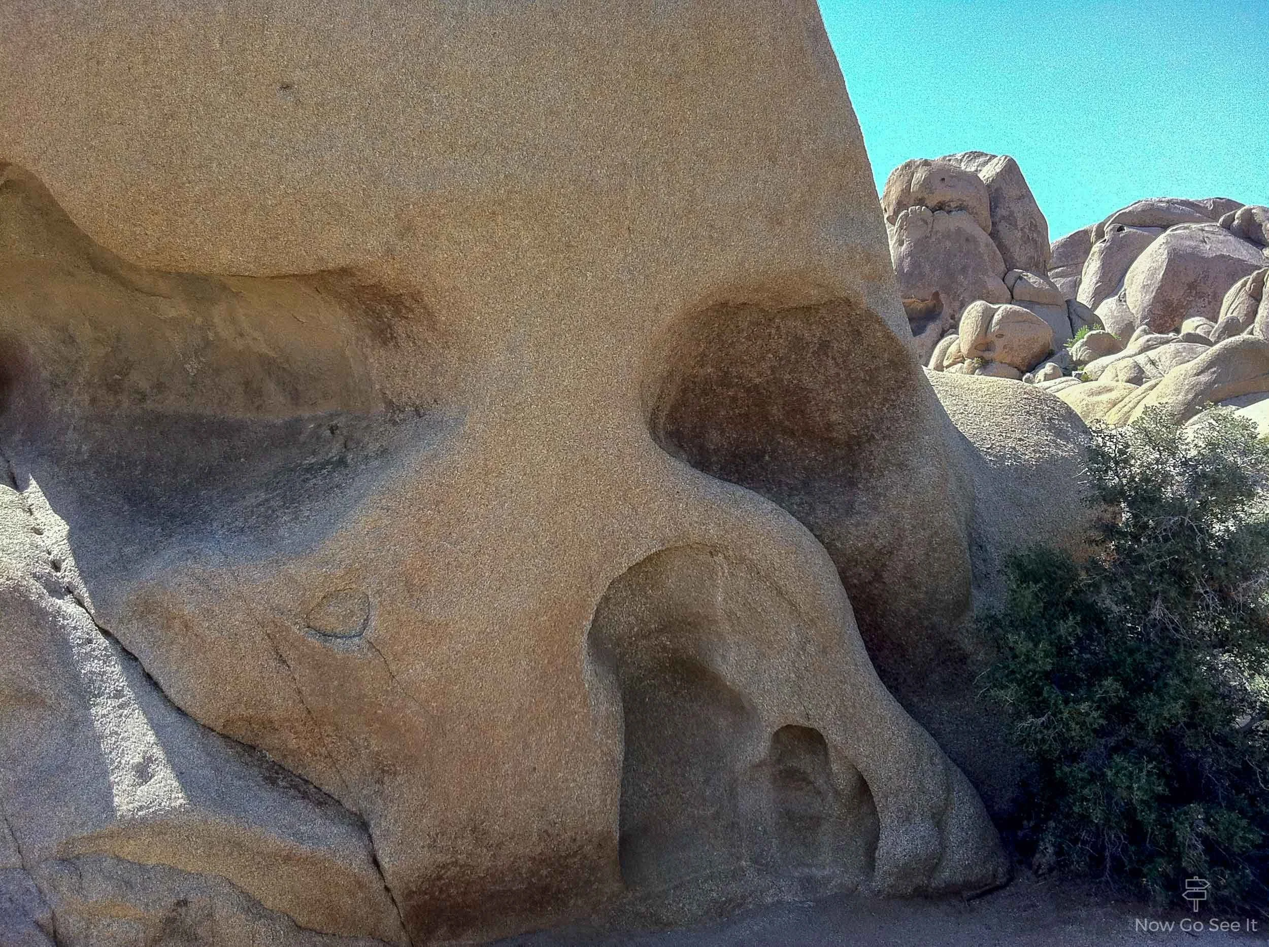 A Day in Joshua Tree