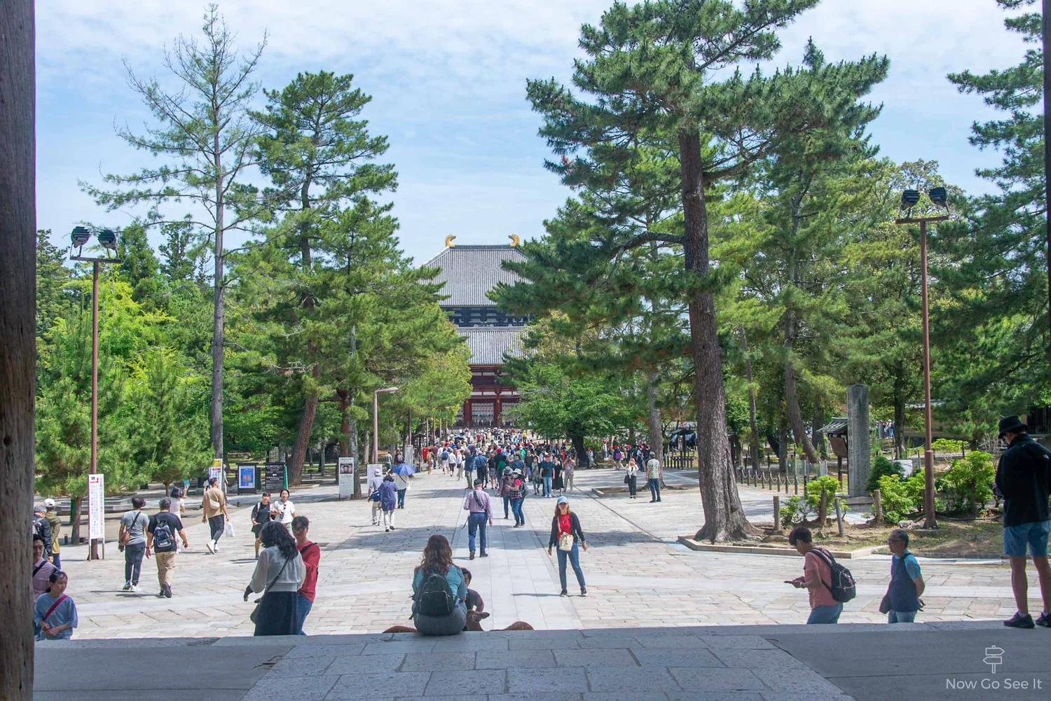Nara Park Day Trip