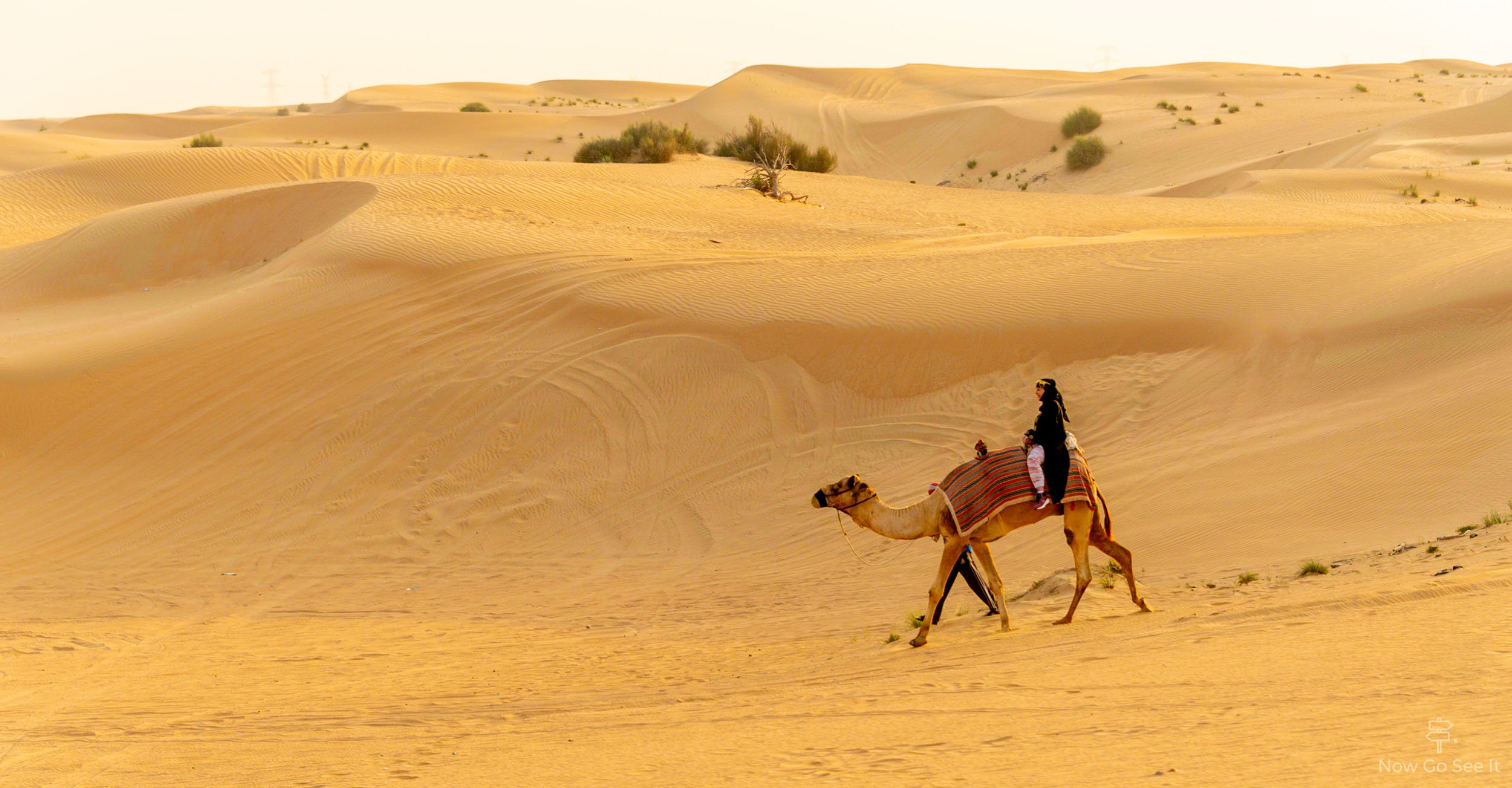 10 Things to do in Dubai — Now Go See It - A Worldwide Travel Blog
