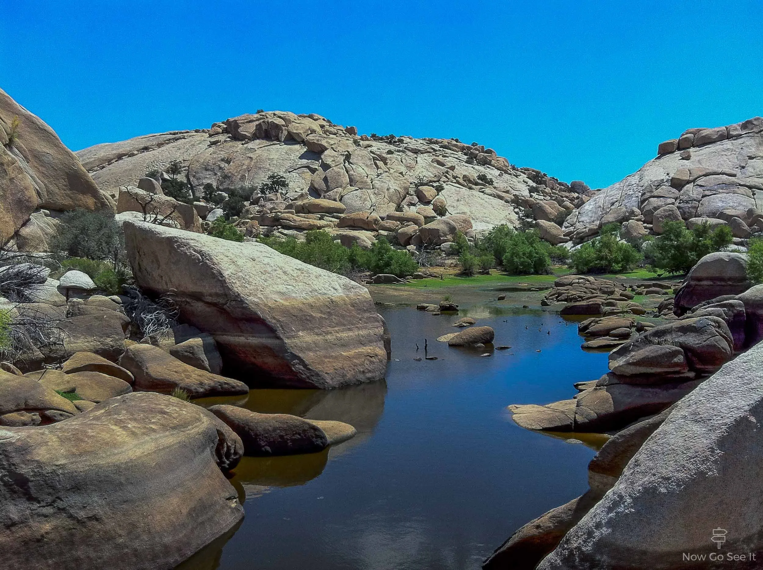 A Day in Joshua Tree