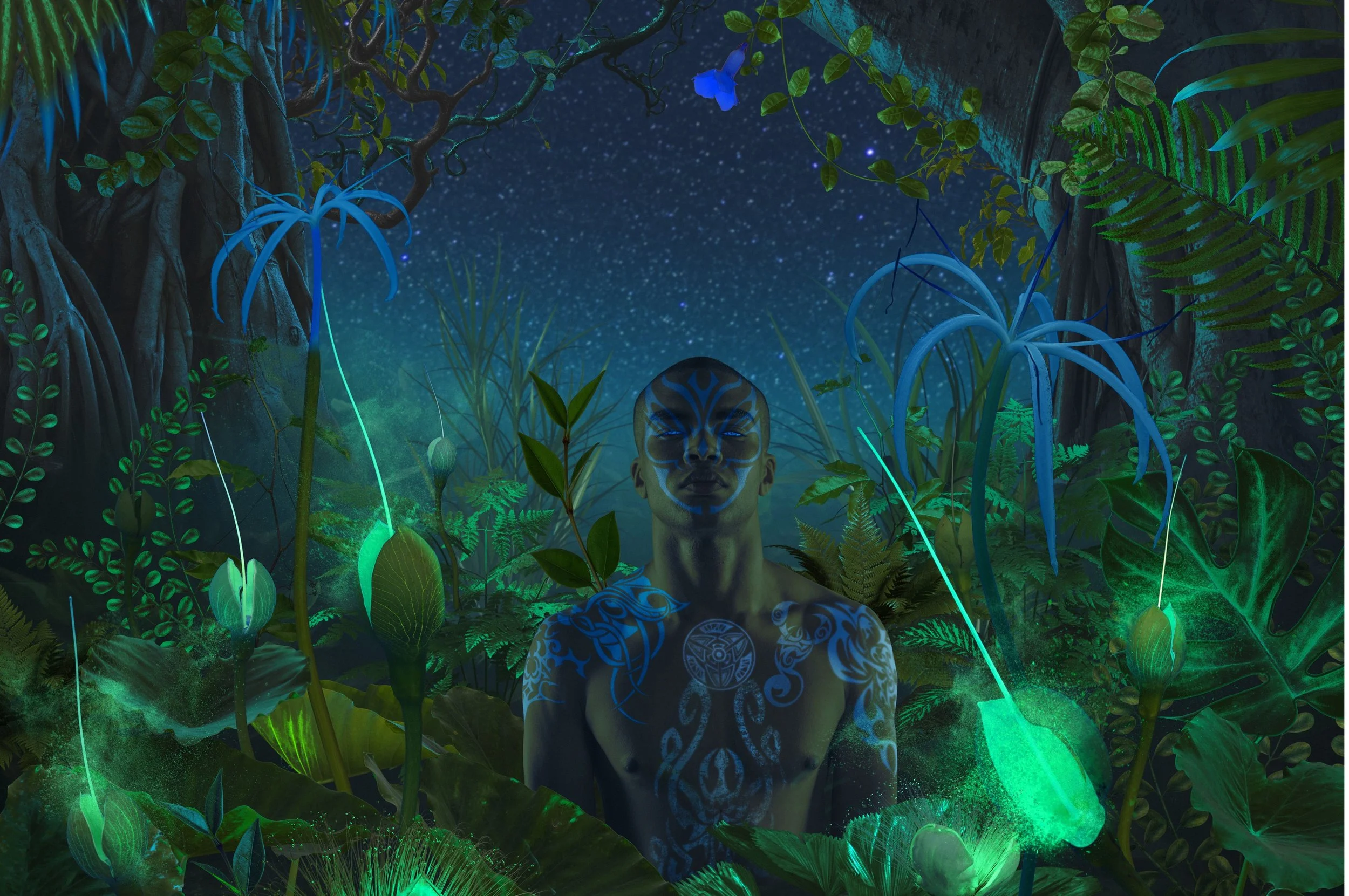 Pathway to Wellness Tulum — Paledora