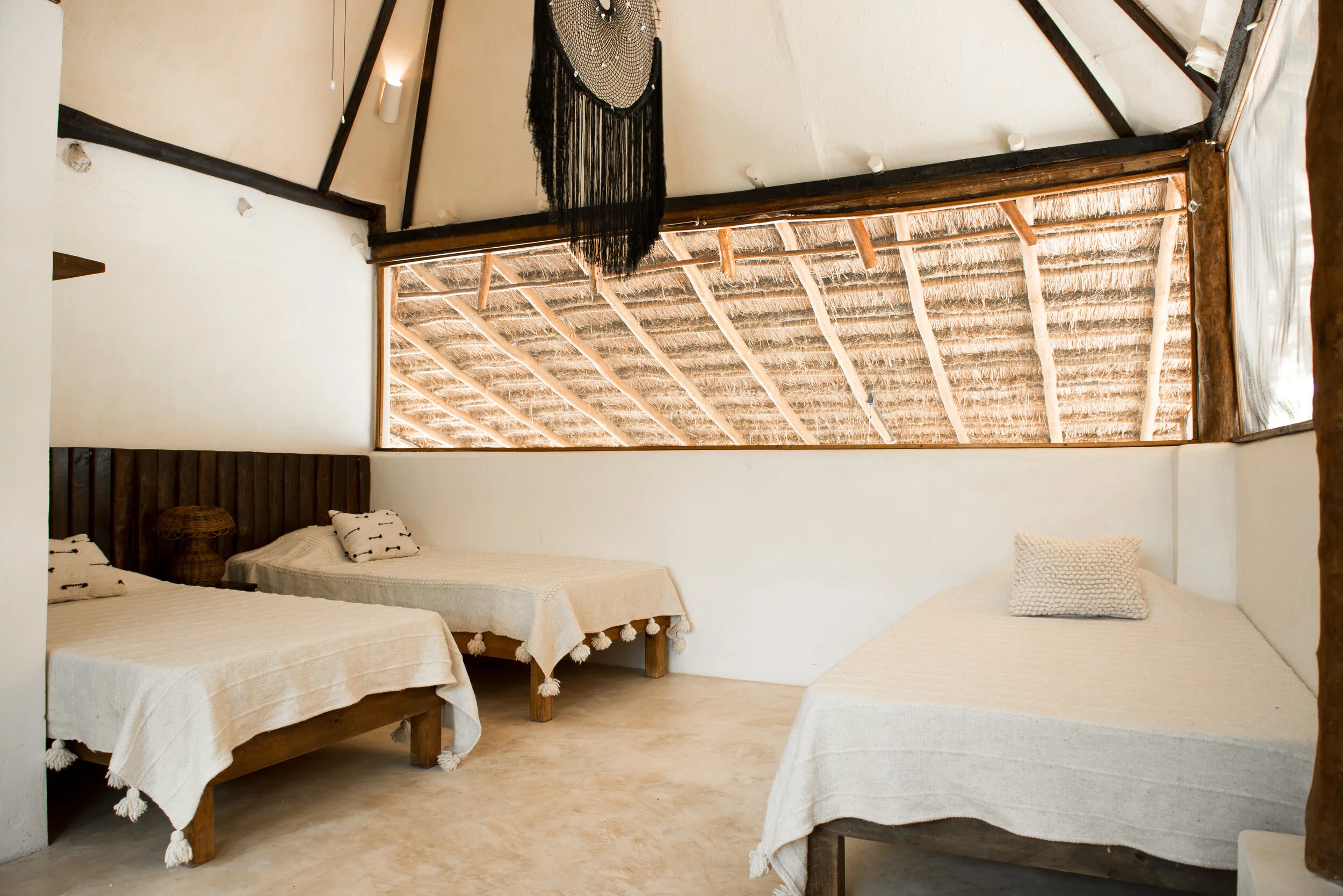 Eco-Resort — Paledora