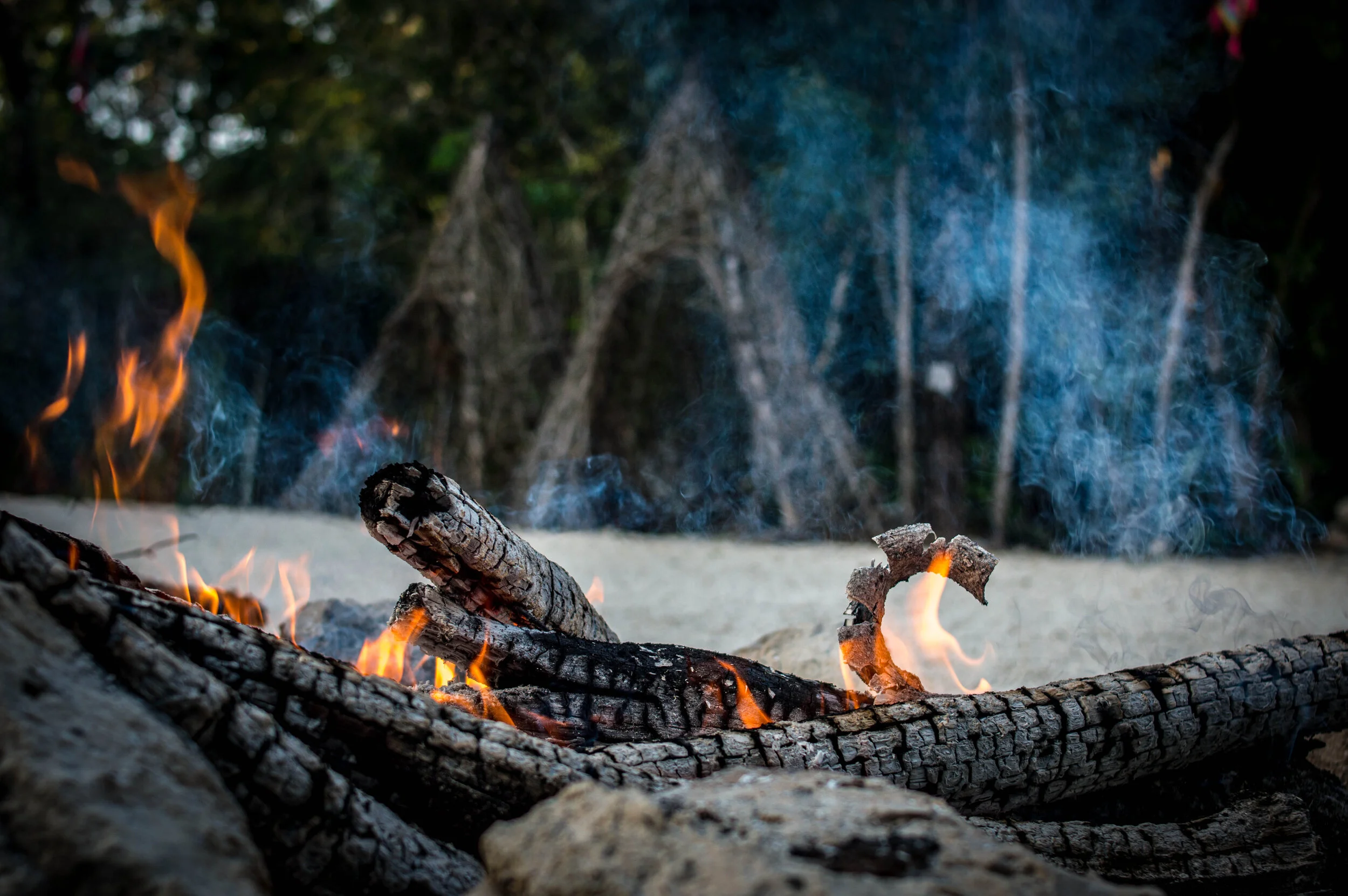 Schedule a Tour — Paledora