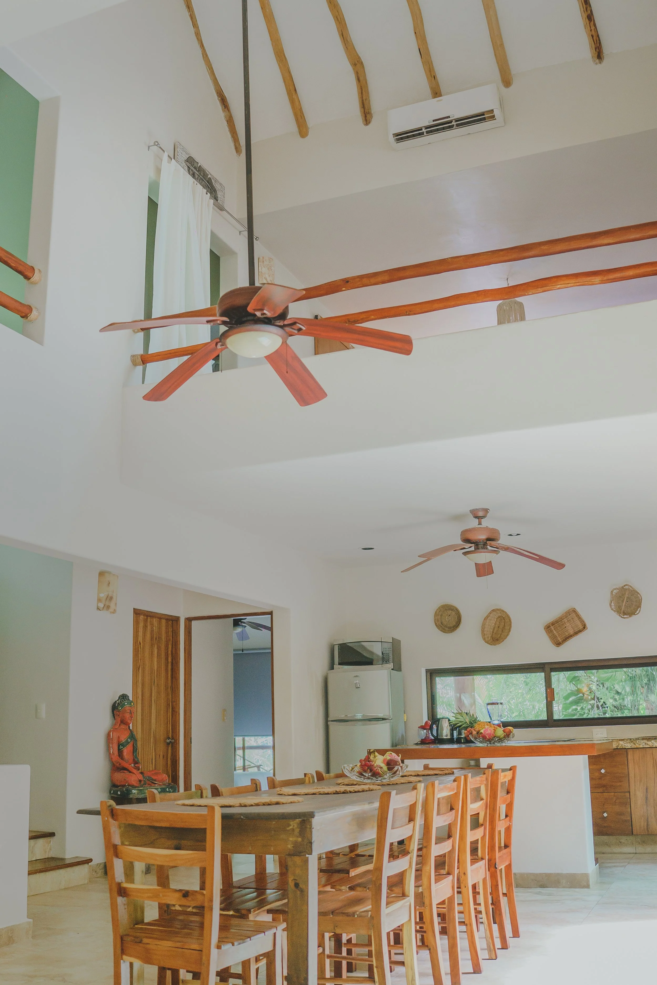 Gallery 1 — Paledora