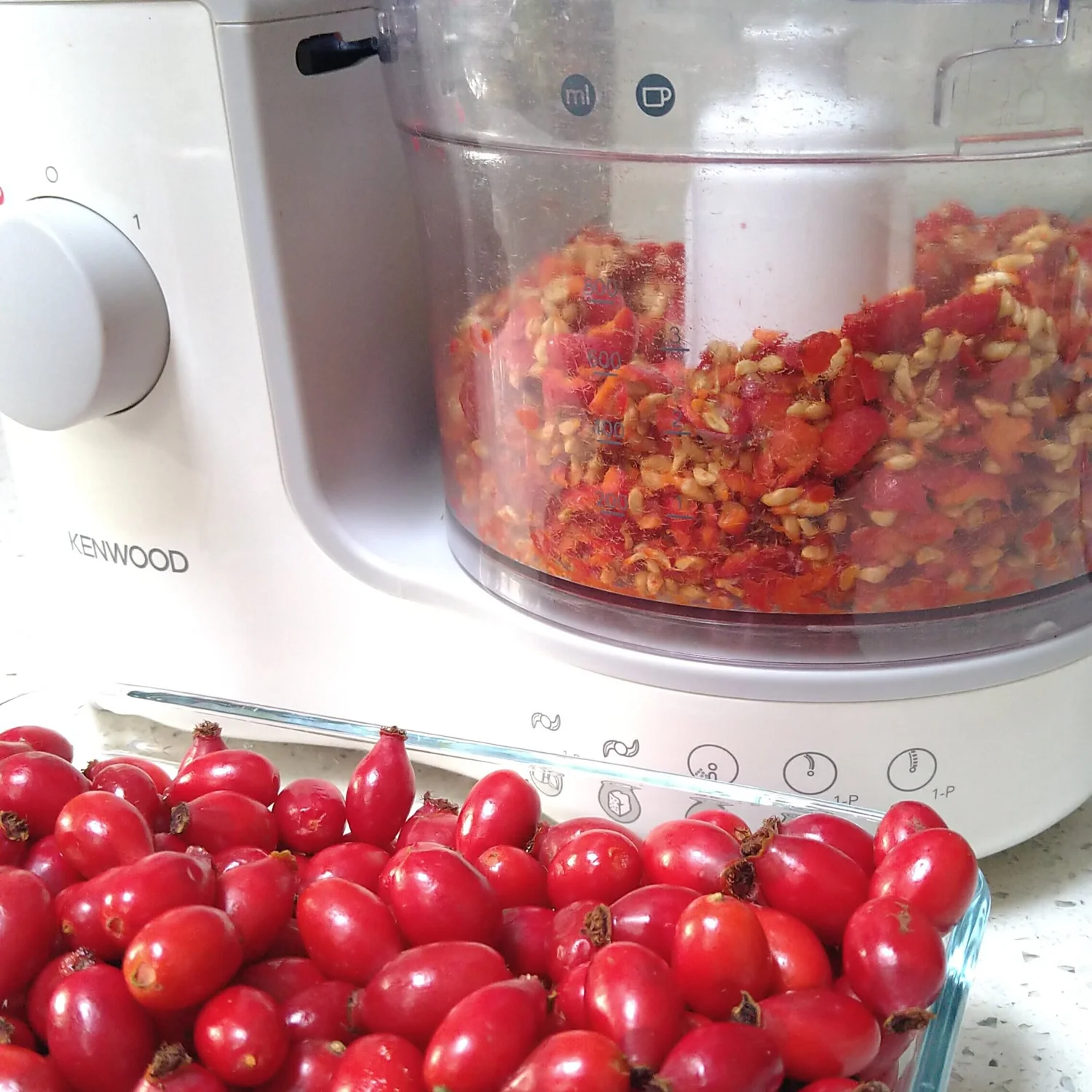 TIME FOR ROSE HIP TEA — JINNY NGUI DESIGN