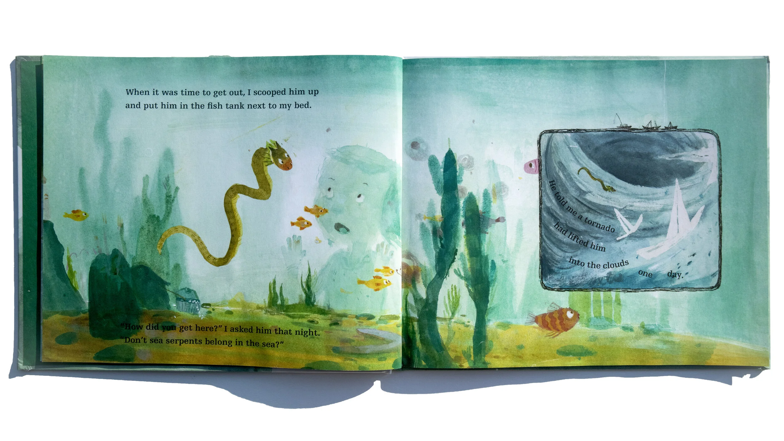 THE SEA SERPENT AND ME — CATIA CHIEN