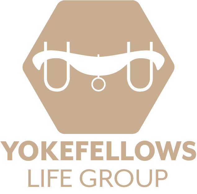 Life Groups — Monument View Bible Church