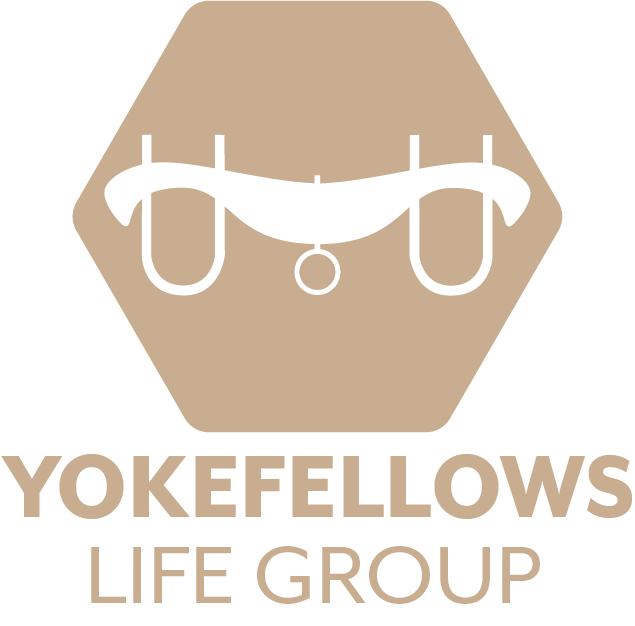 Life Groups — Monument View Bible Church
