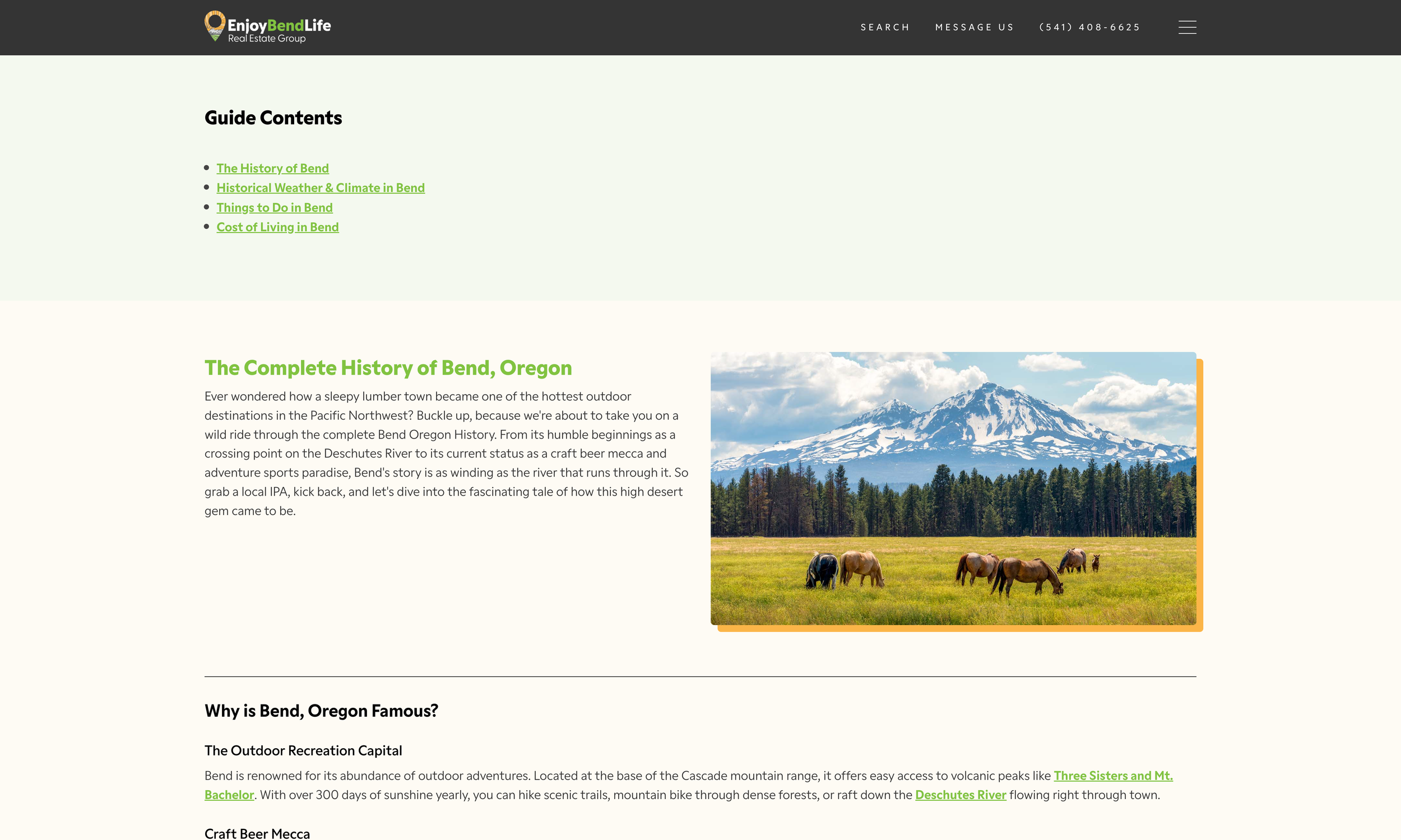 The Power of Ultimate Guides for Real Geeks Website SEO