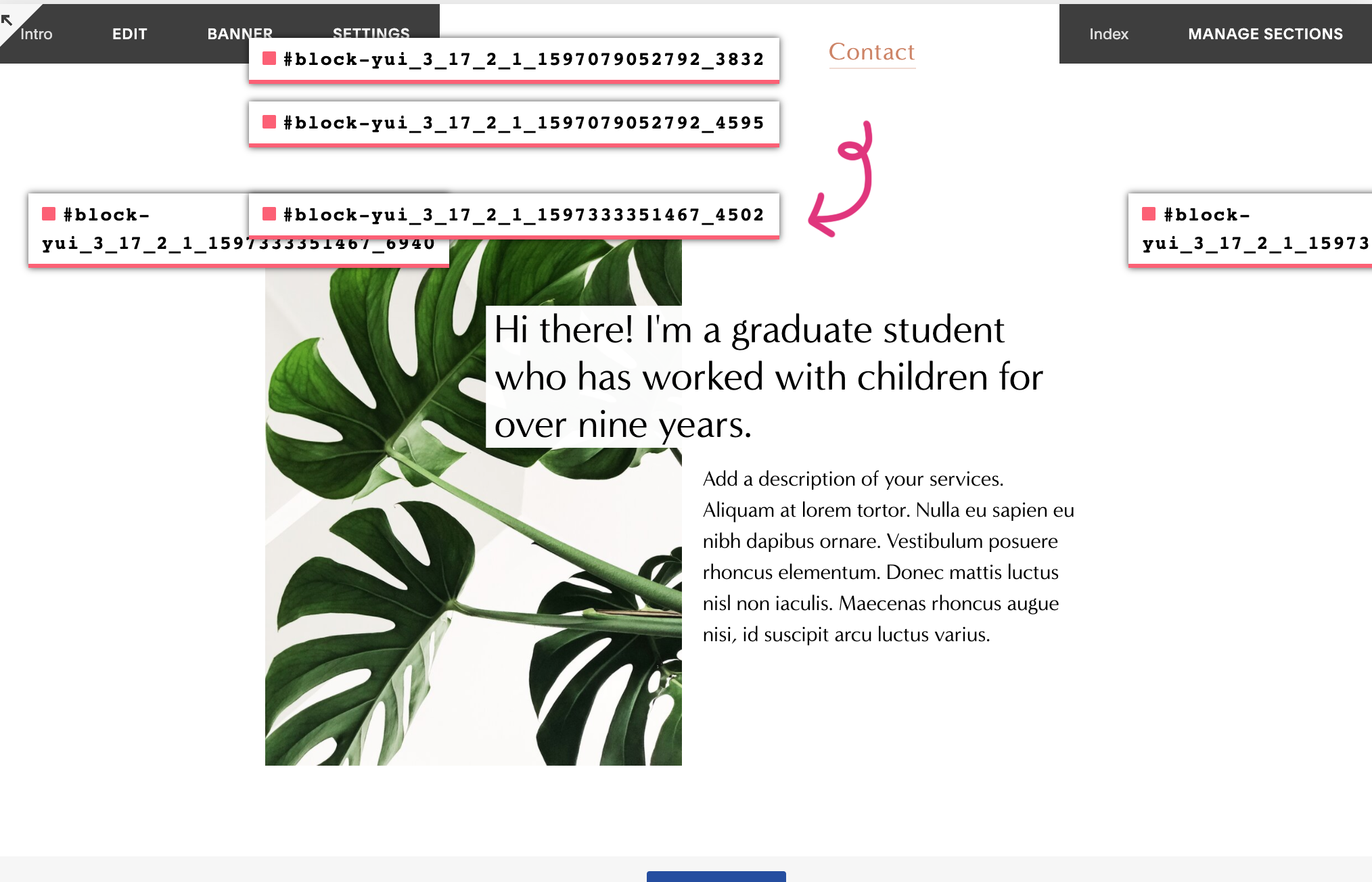 How to add and background or border to an image block in Squarespace — Be Creative