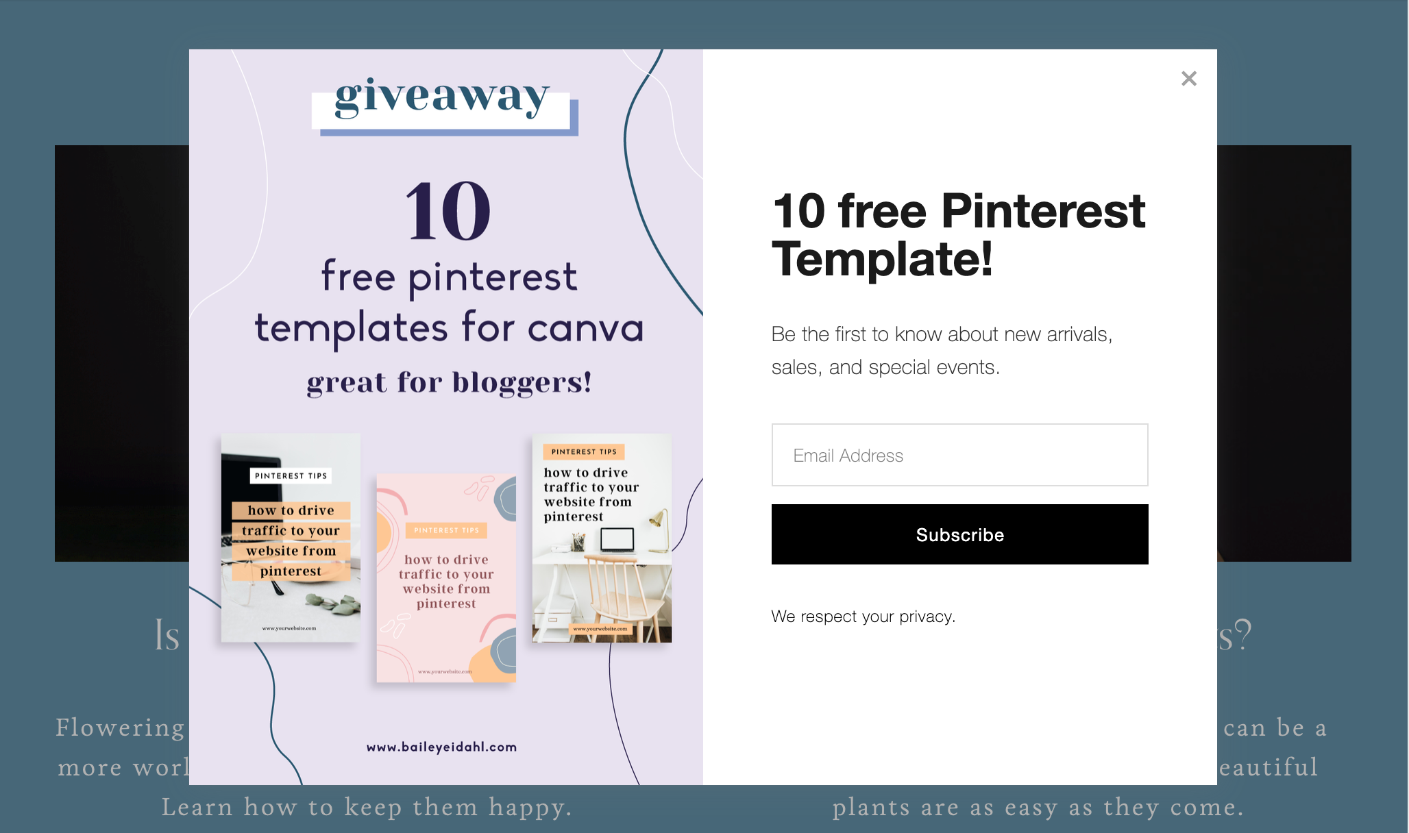 3 Ways To Promote Your Opt-In Freebie in Squarespace — Be Creative