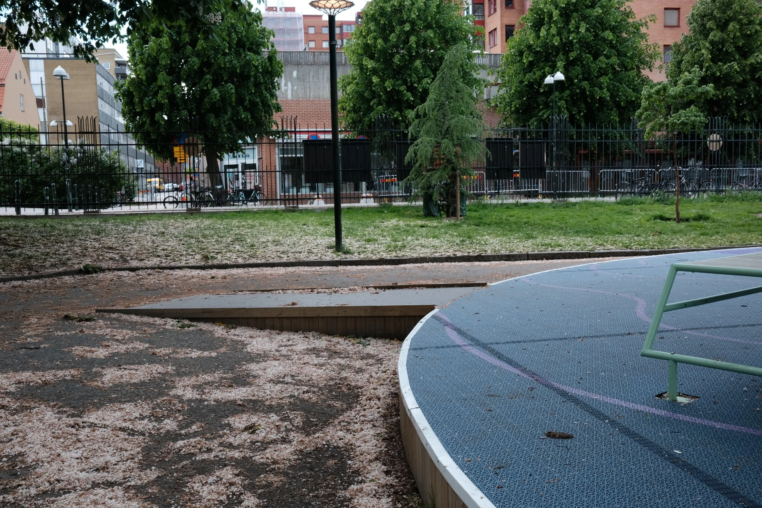 How to Create Parks for the People — Women in Urbanism Canada