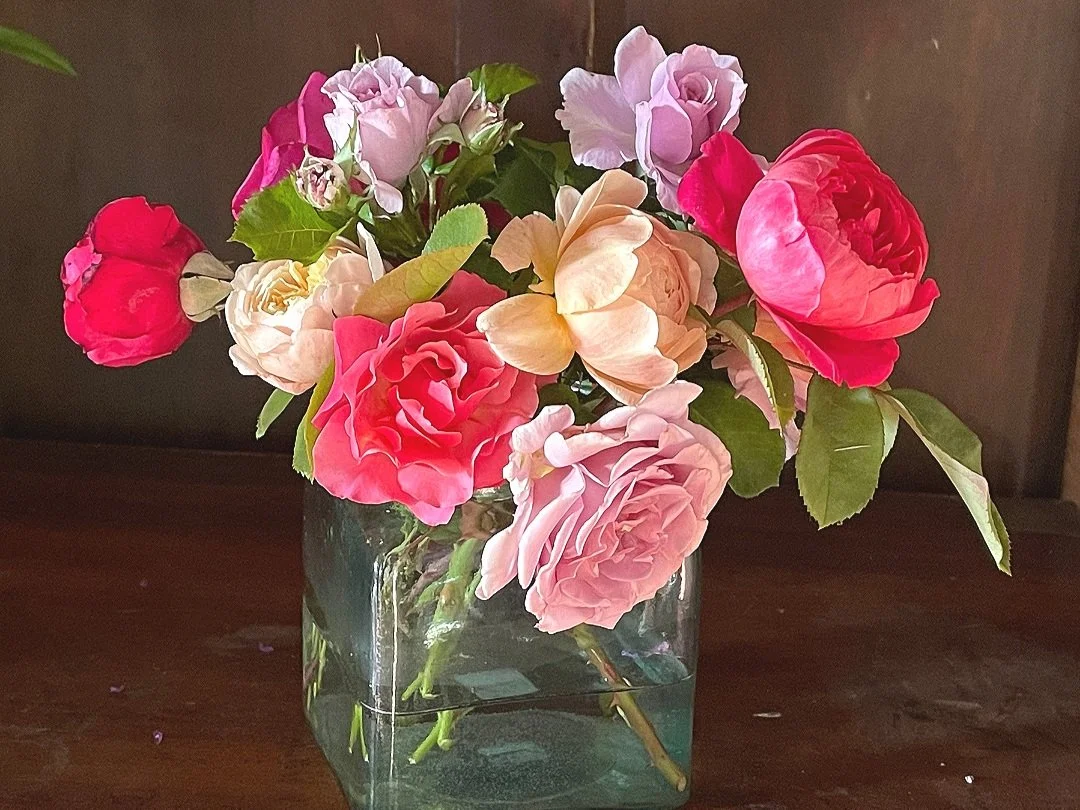 Rose Petal Mead — Kareniscooking