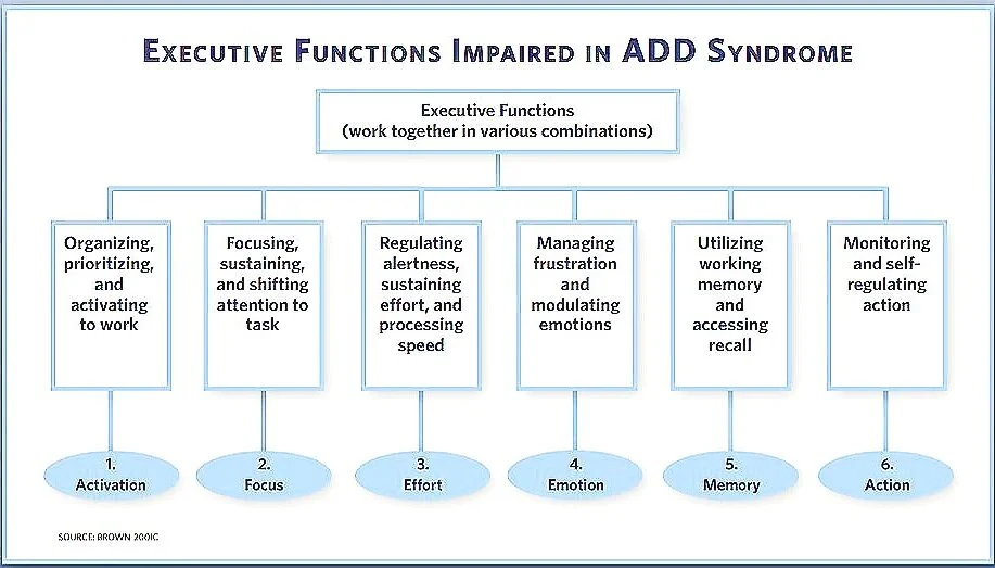 Resources ADHD Coach Me Rachel Clark Coaches Adults And Students Resources ADHD Coach Me Rachel Clark Coaches Adults And Students