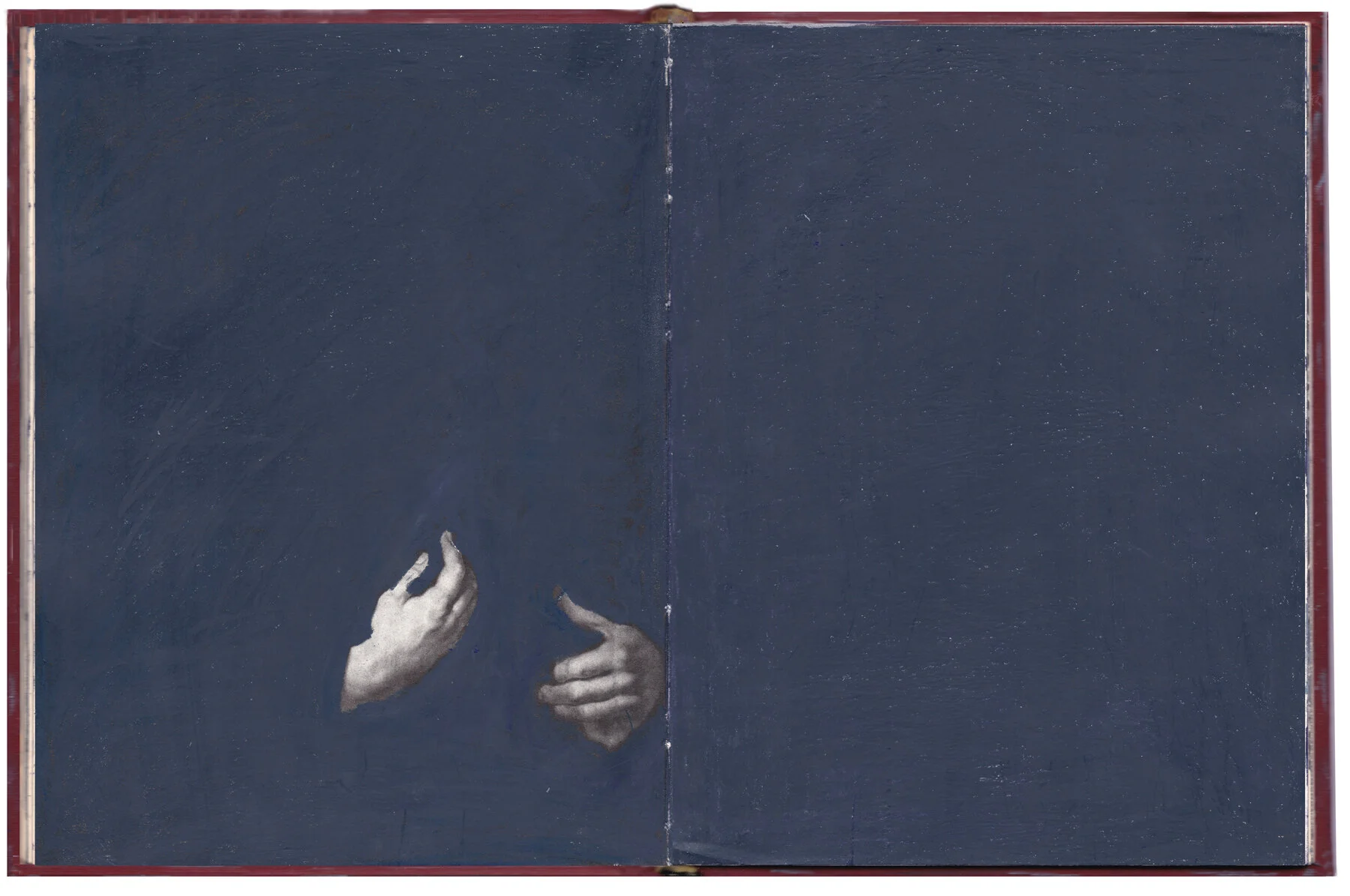 Amy Bassin — Angime