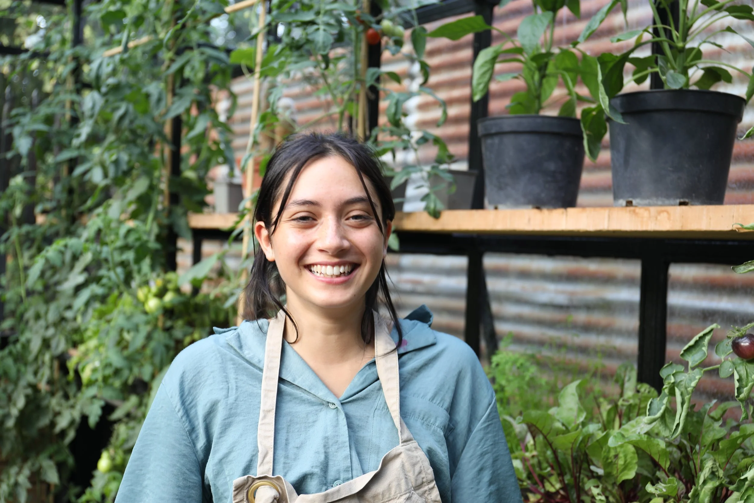 The Team — The Exchange