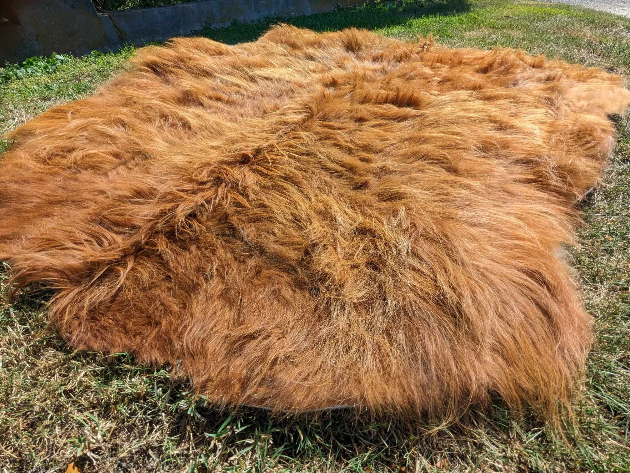 General 1 — GRANGE HILL FARM