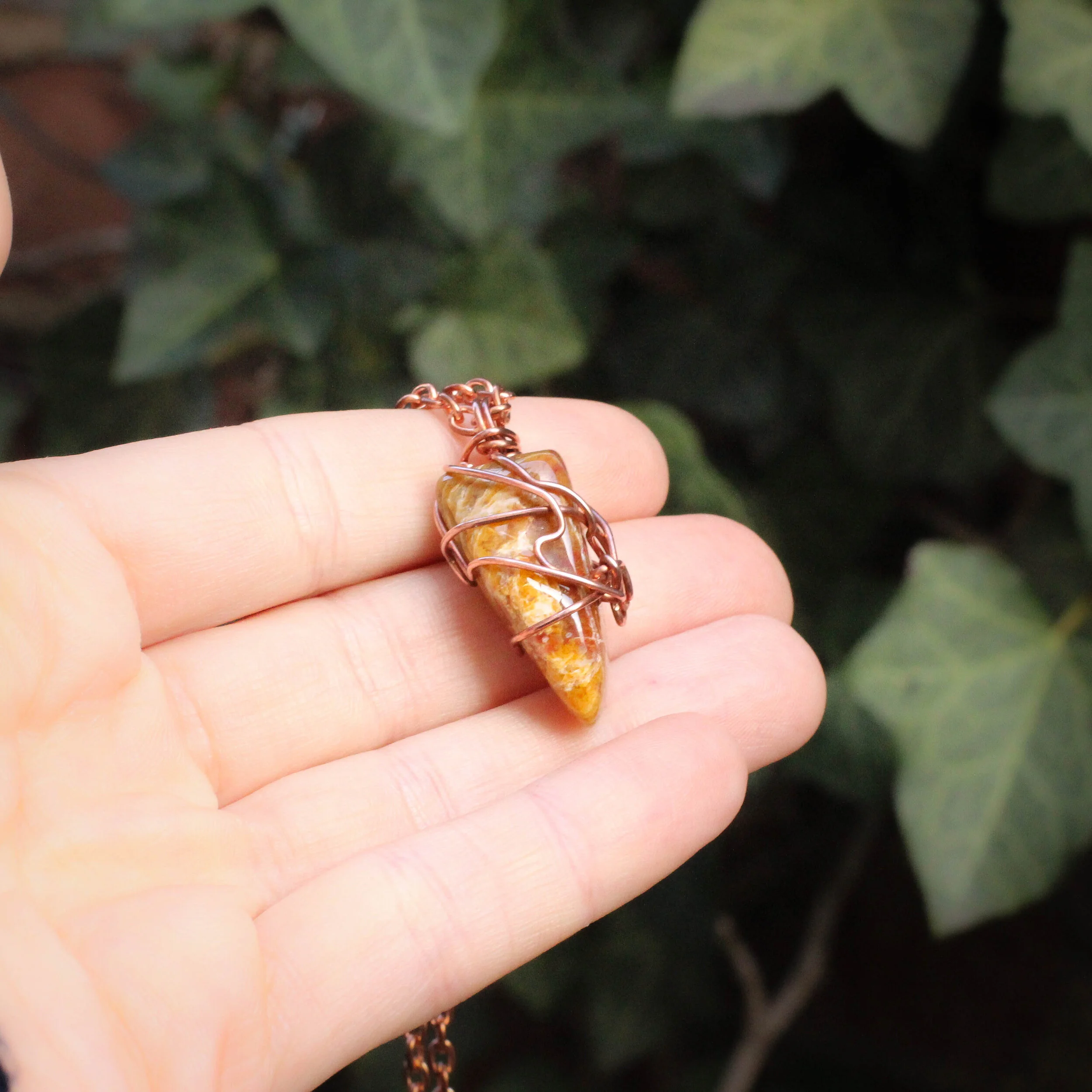 Petrified Wood Crystal Properties Guide — Ivy+Light