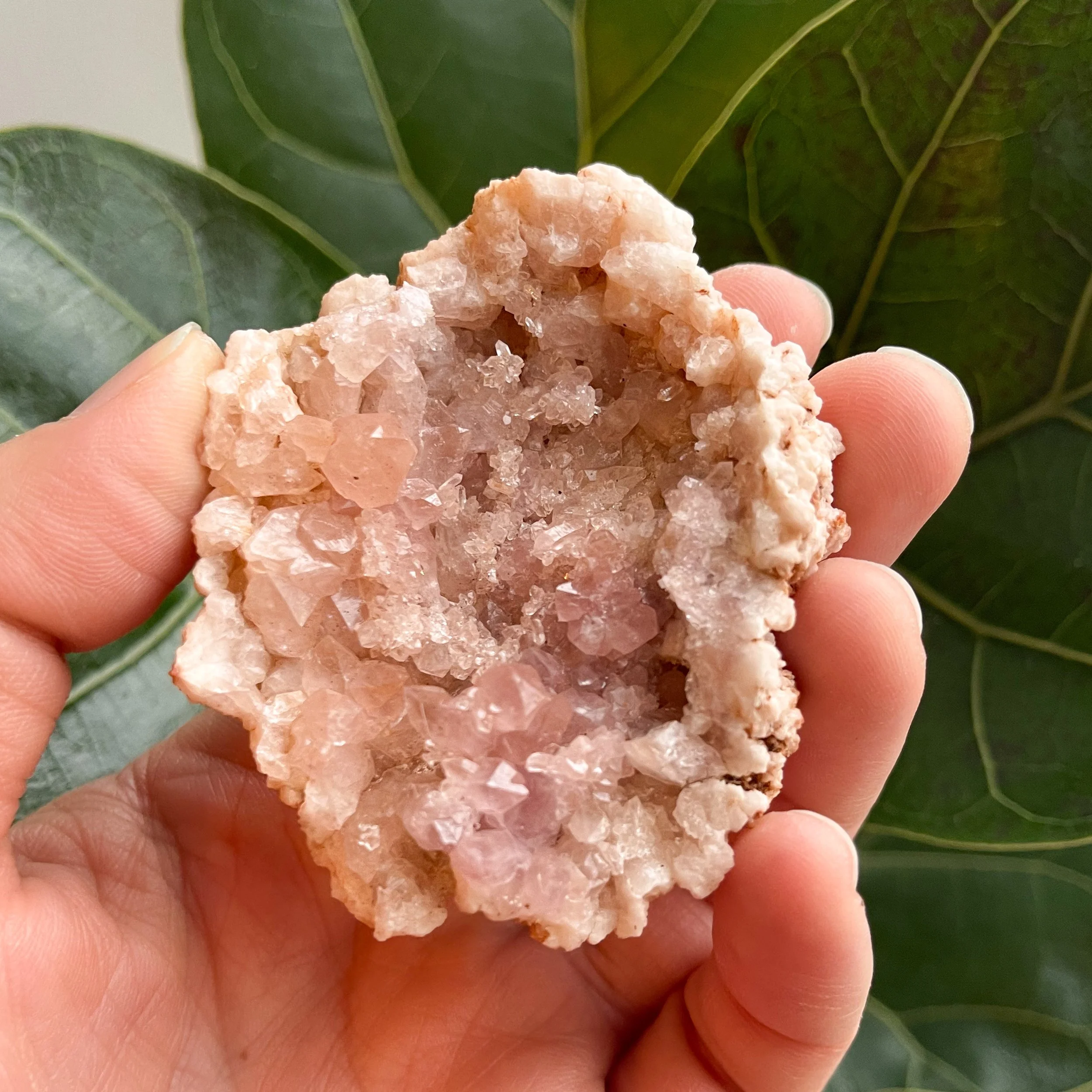 Tranquility Tumbled Stone | Sodalite — Ivy+Light