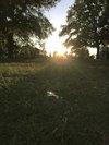 Celebrating the Summer Solstice: Radiance, Ritual, and Sun Energy ...