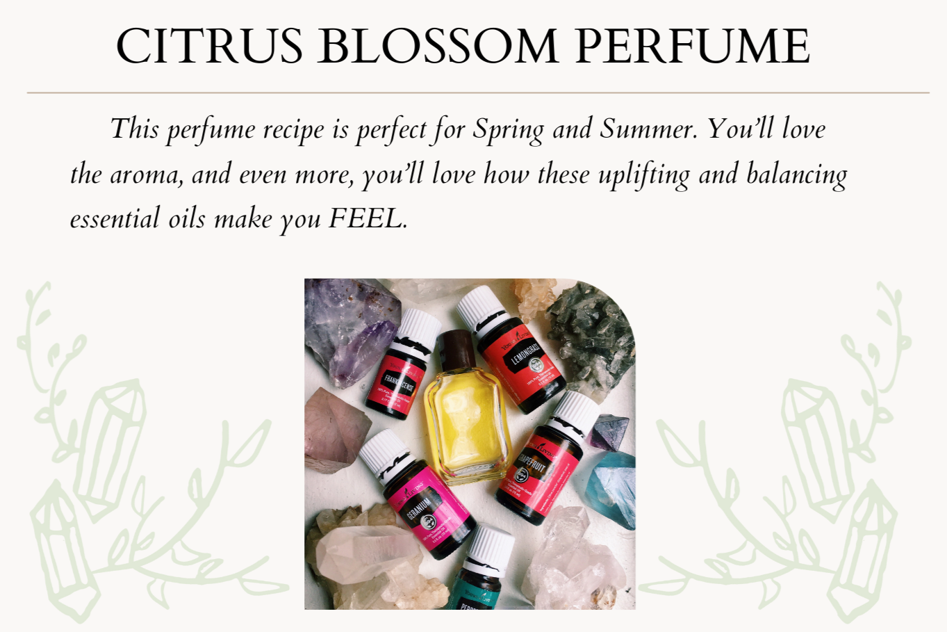 How to Make Natural Essential Oil Perfume | Top, Middle & Base Notes ...