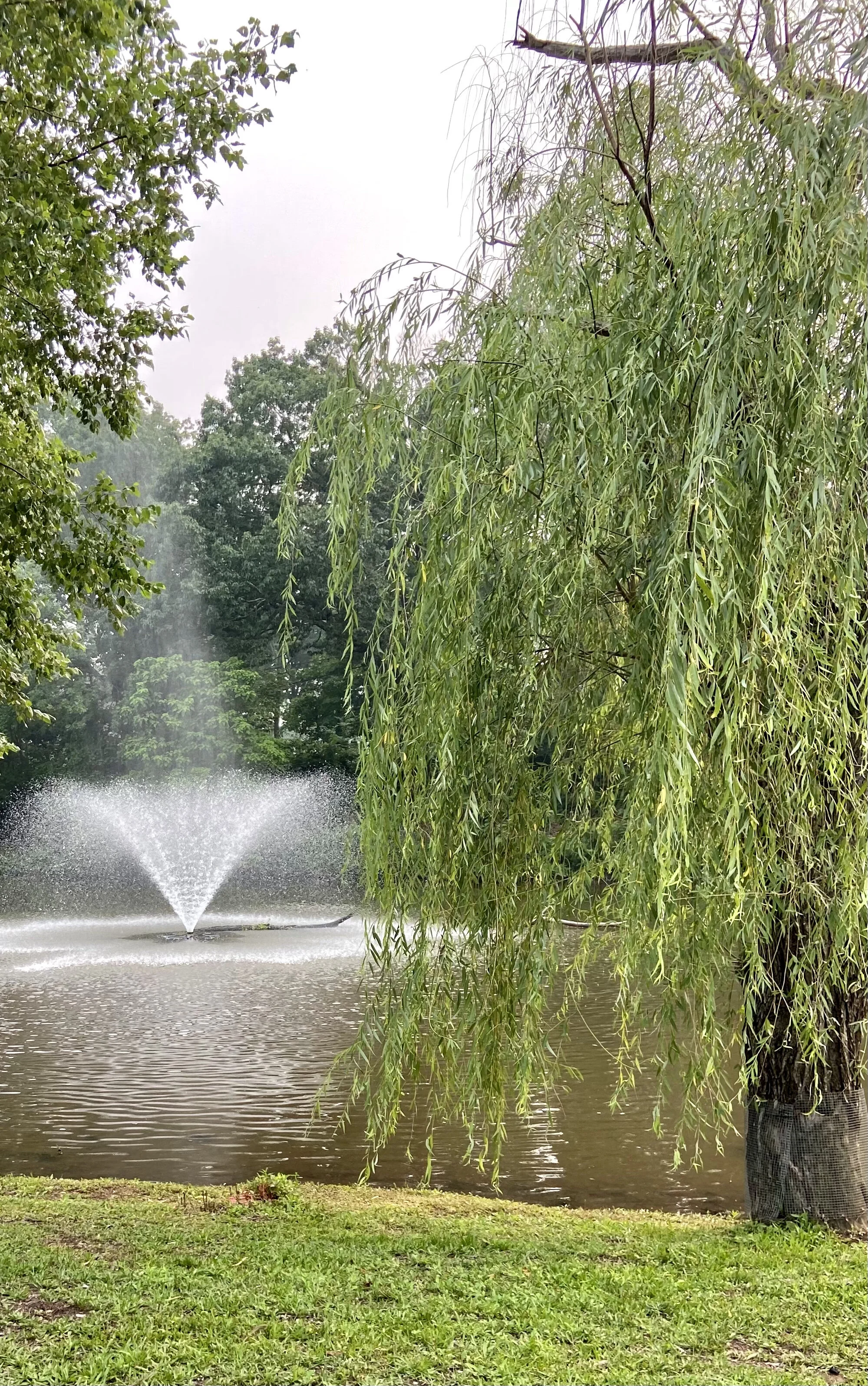 Rec - Parks and Fields — Middlesex Borough