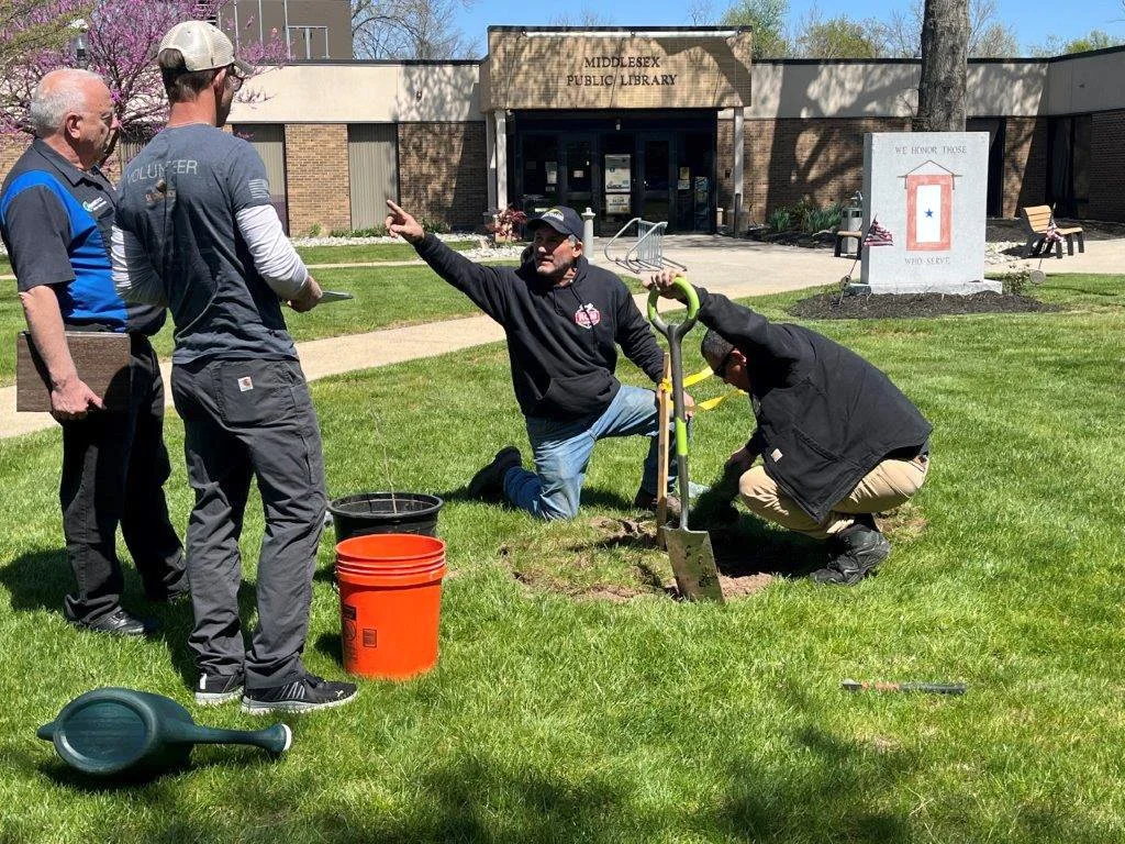 Arbor Day Foundation names Middlesex a 2021 Tree City USA — Middlesex ...