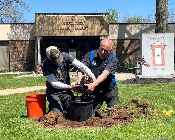 Arbor Day Foundation names Middlesex a 2021 Tree City USA — Middlesex ...