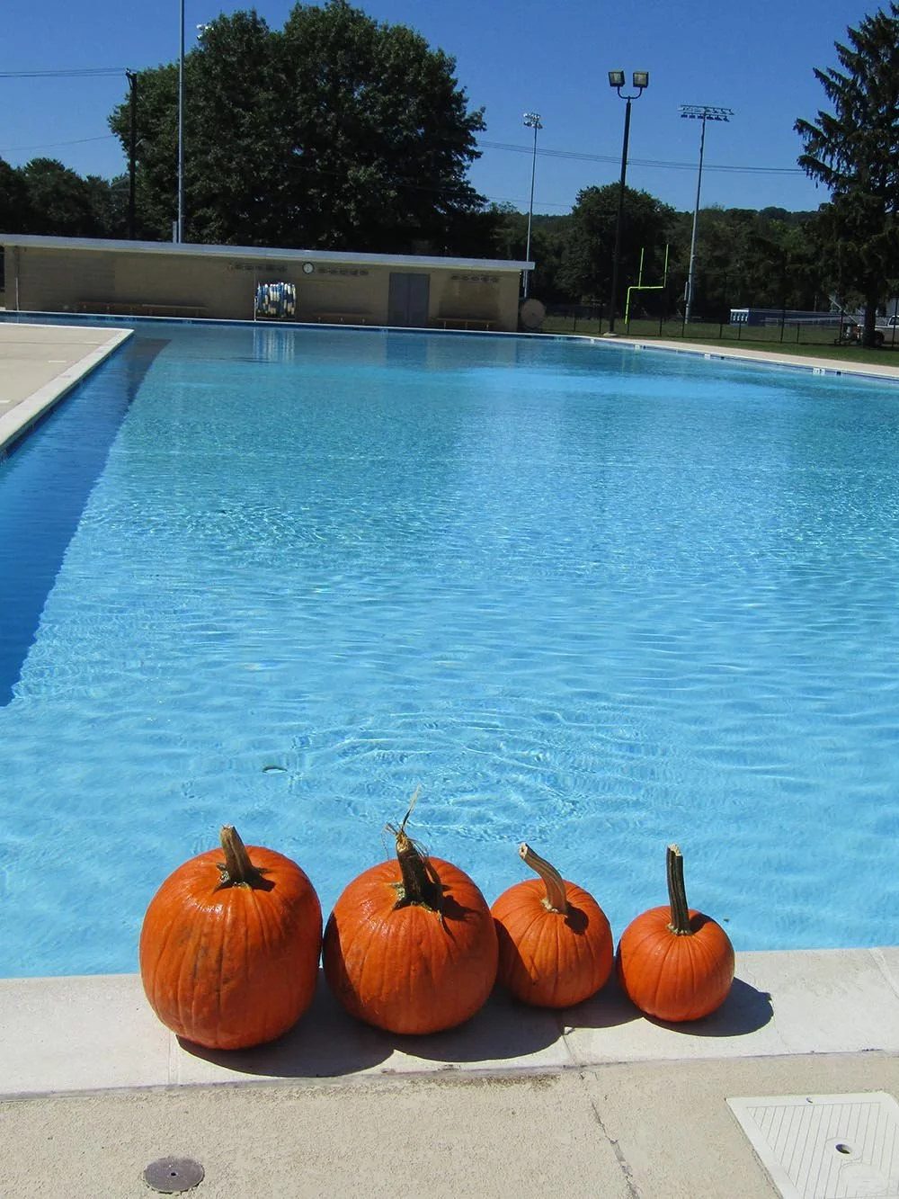 Pool — Middlesex Borough