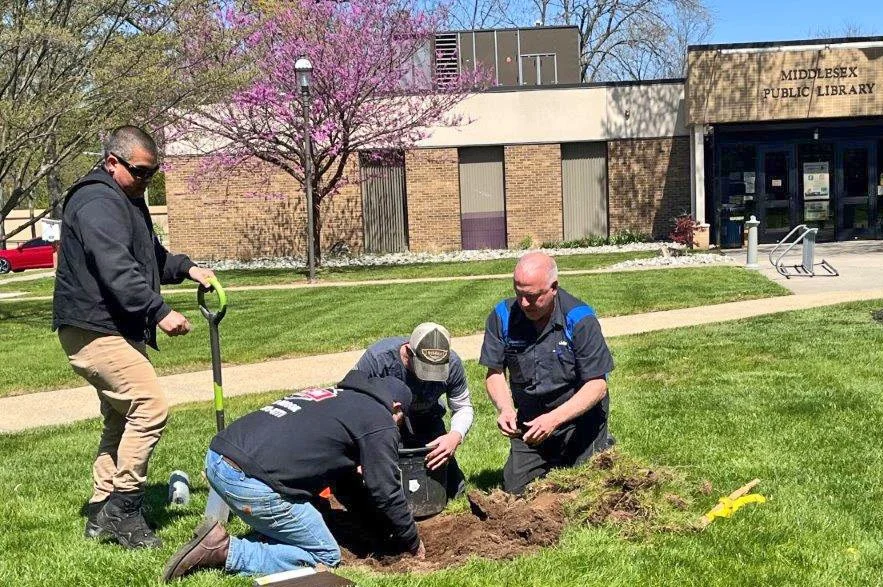 Arbor Day Foundation names Middlesex a 2021 Tree City USA — Middlesex ...