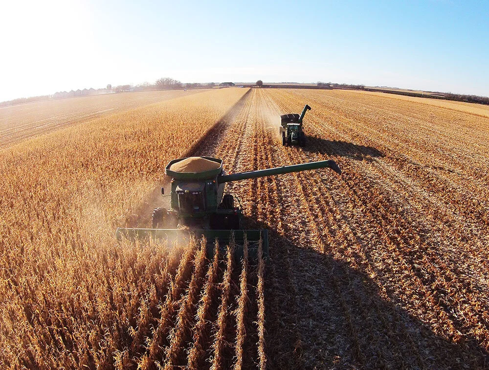 Leading Edge Industries