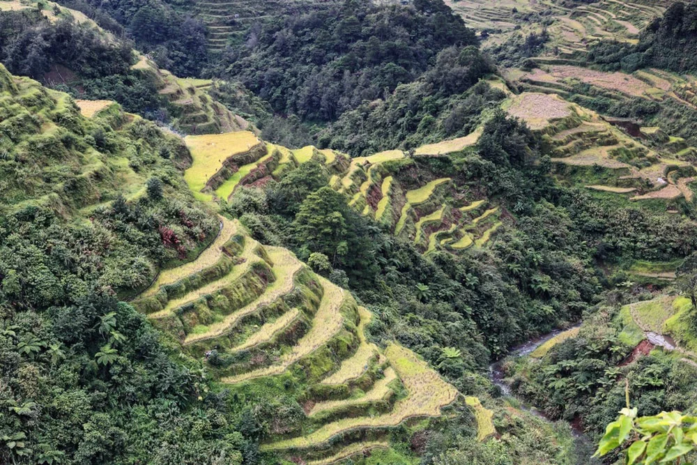 A Guide to the Indigenous Tribes of the Philippines — CulturePop