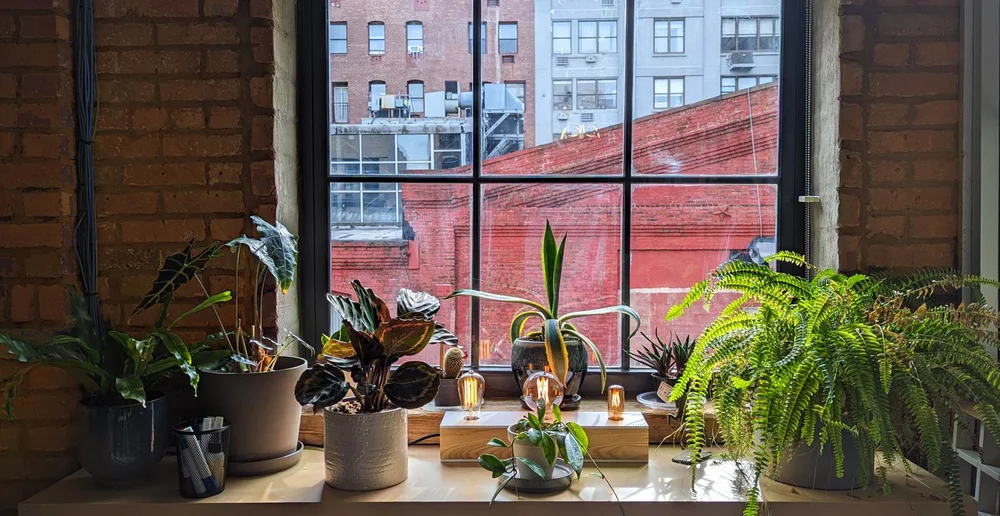 Contact — LUX COLLABORATIVE