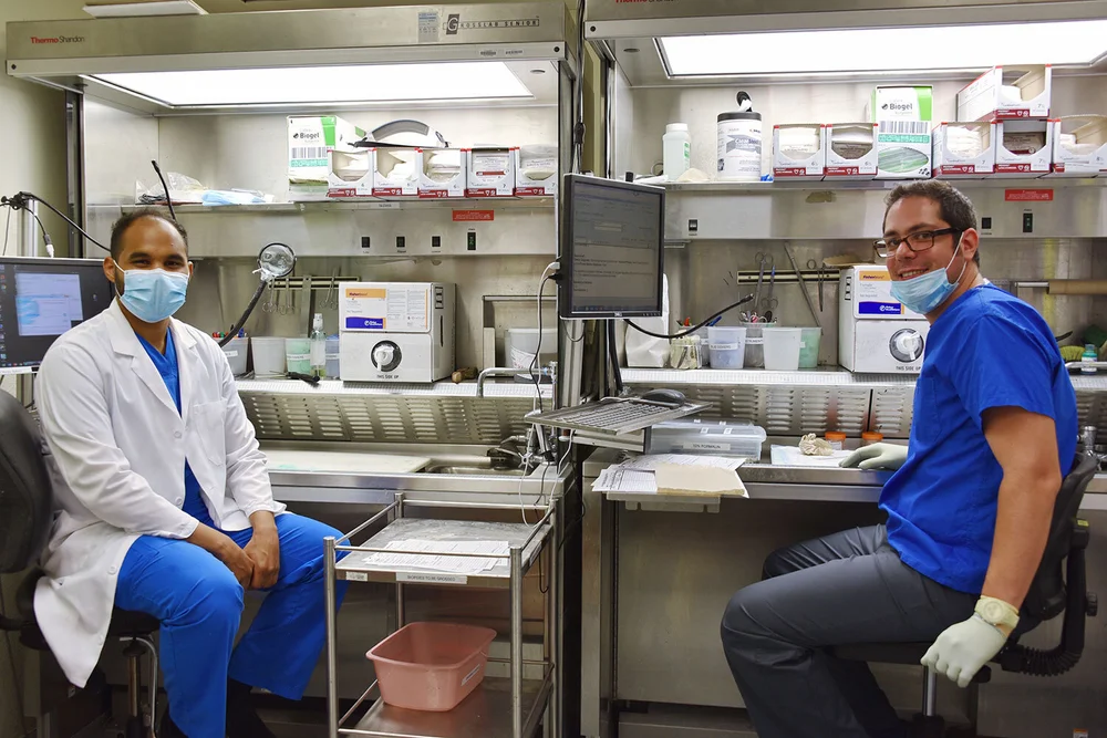 About The Program — SUNY Downstate Pathology Residents