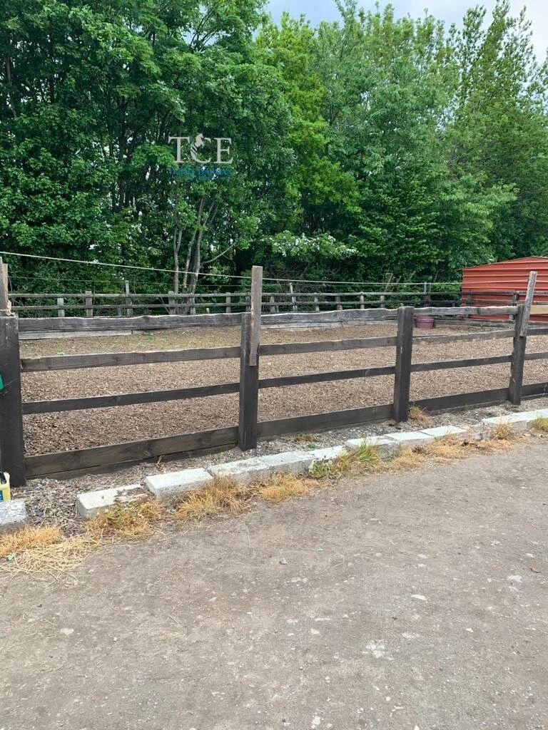 Facilities — Team Chapman equestrian