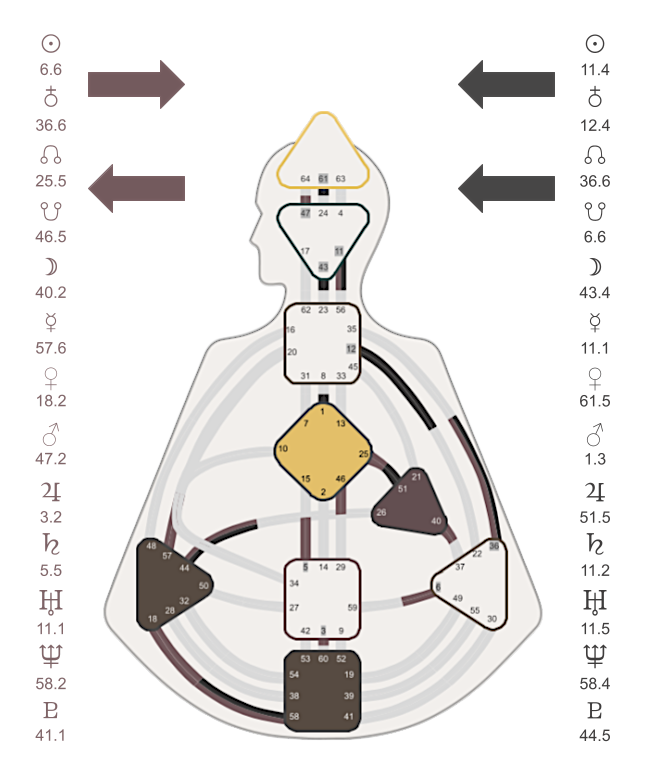 What is Human Design — Honored Body