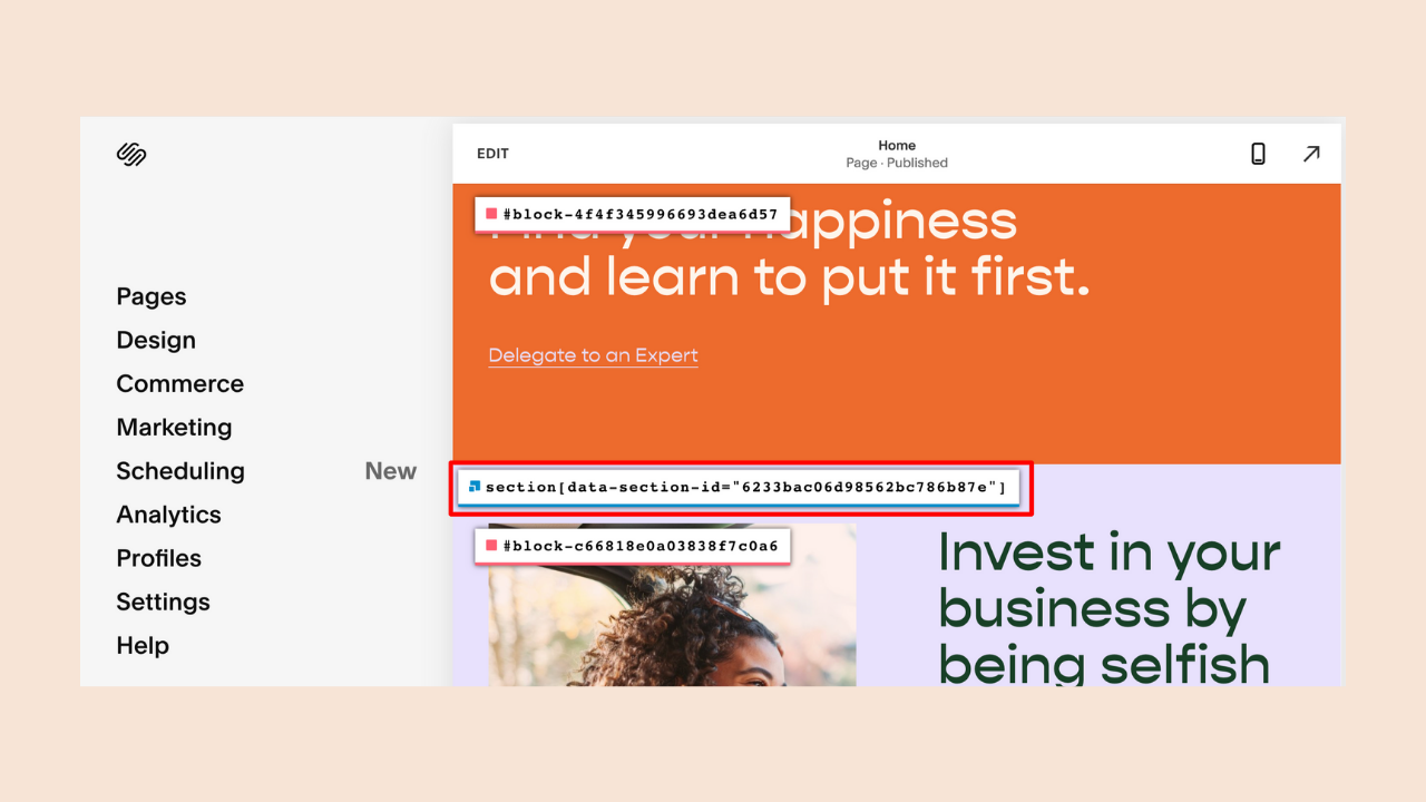 Showing Custom Sections for Different Screen Sizes — Assisted by Anna
