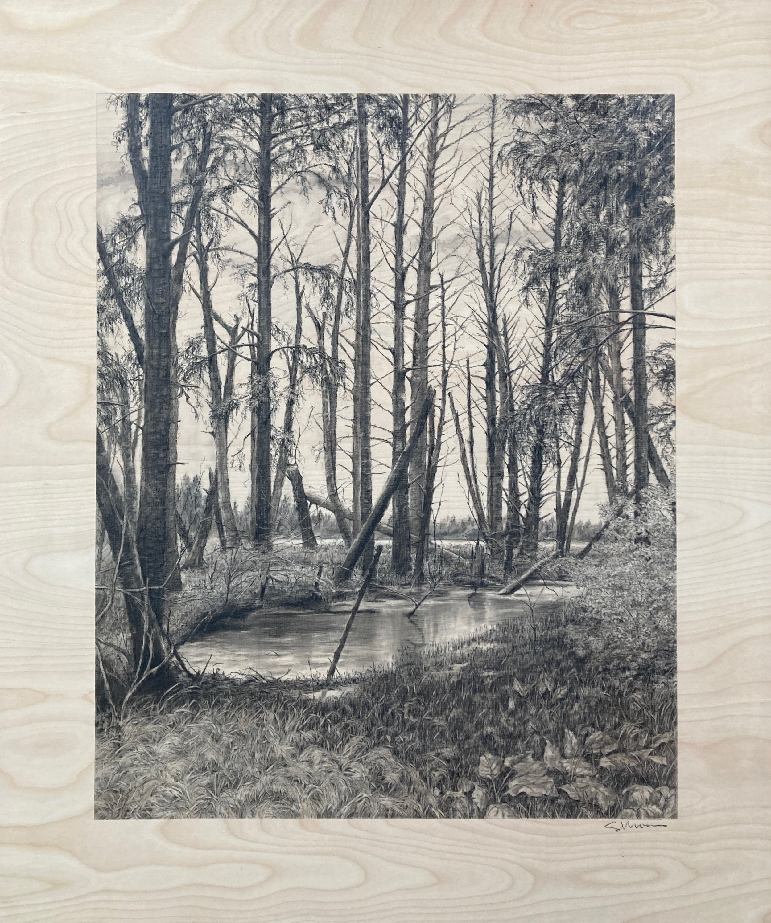 Catalogues — Cambium Gallery