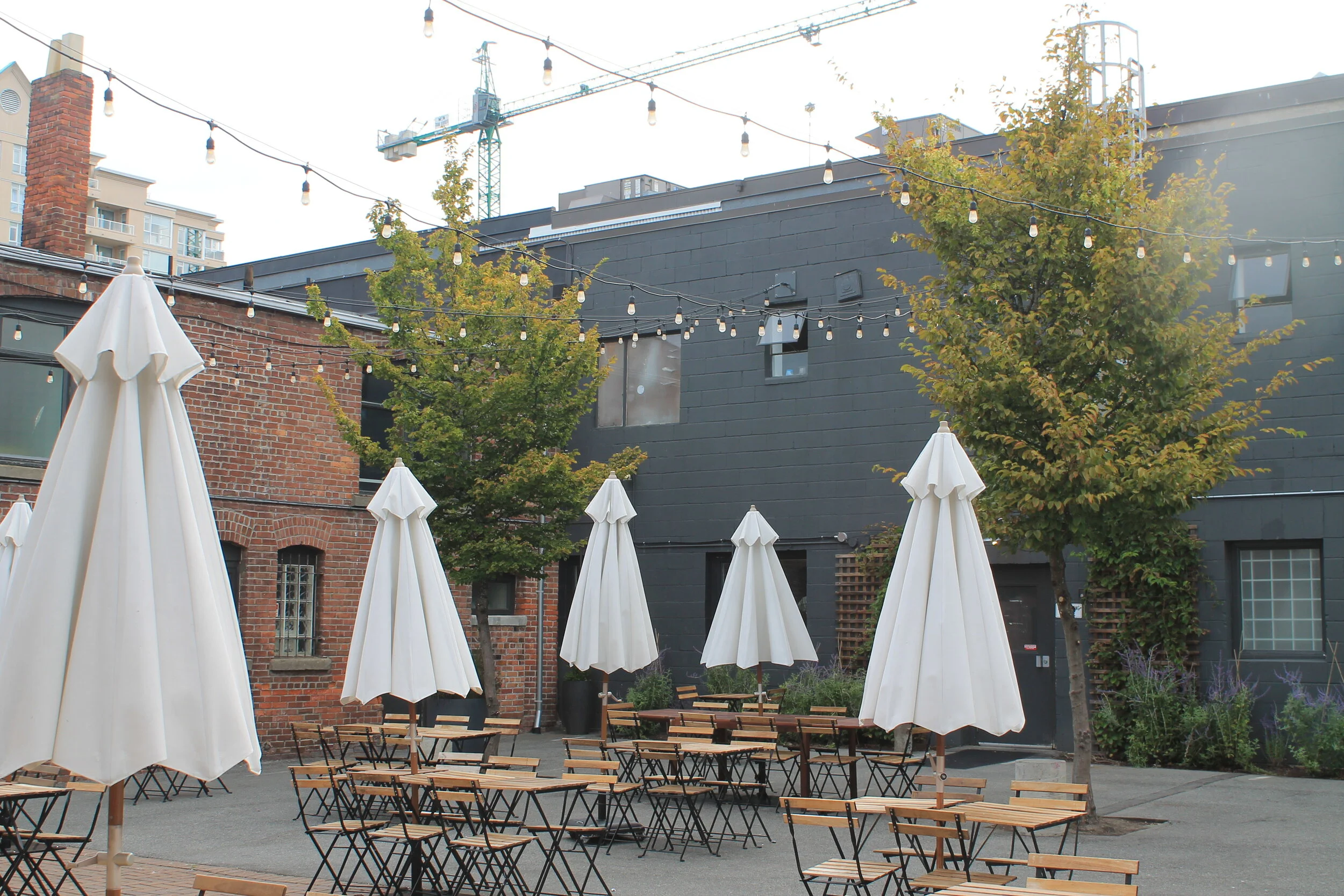 Events at The Fort Common — Fort Properties Ltd.