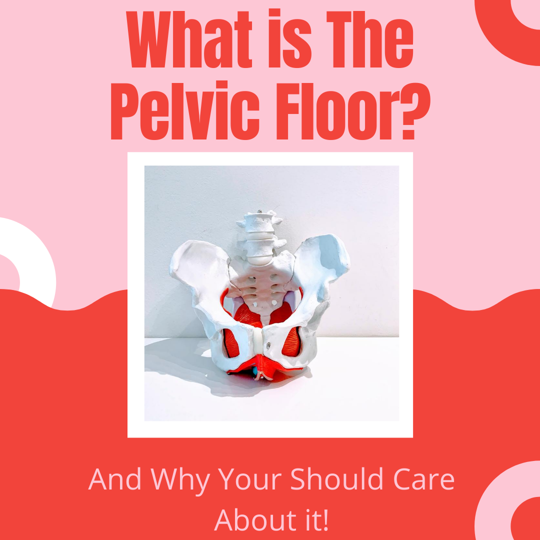 Pelvic Wellness & Physical Therapy