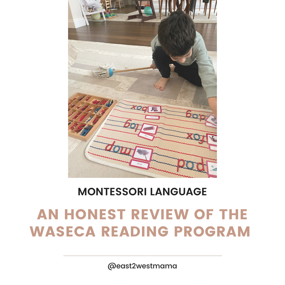 Montessori Language: An Honest Review of the Waseca Reading Program ...