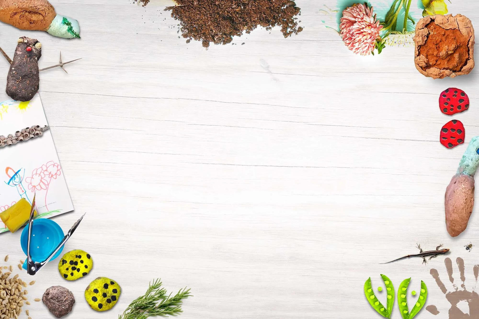 Kids programs and incursions: Urban Grow