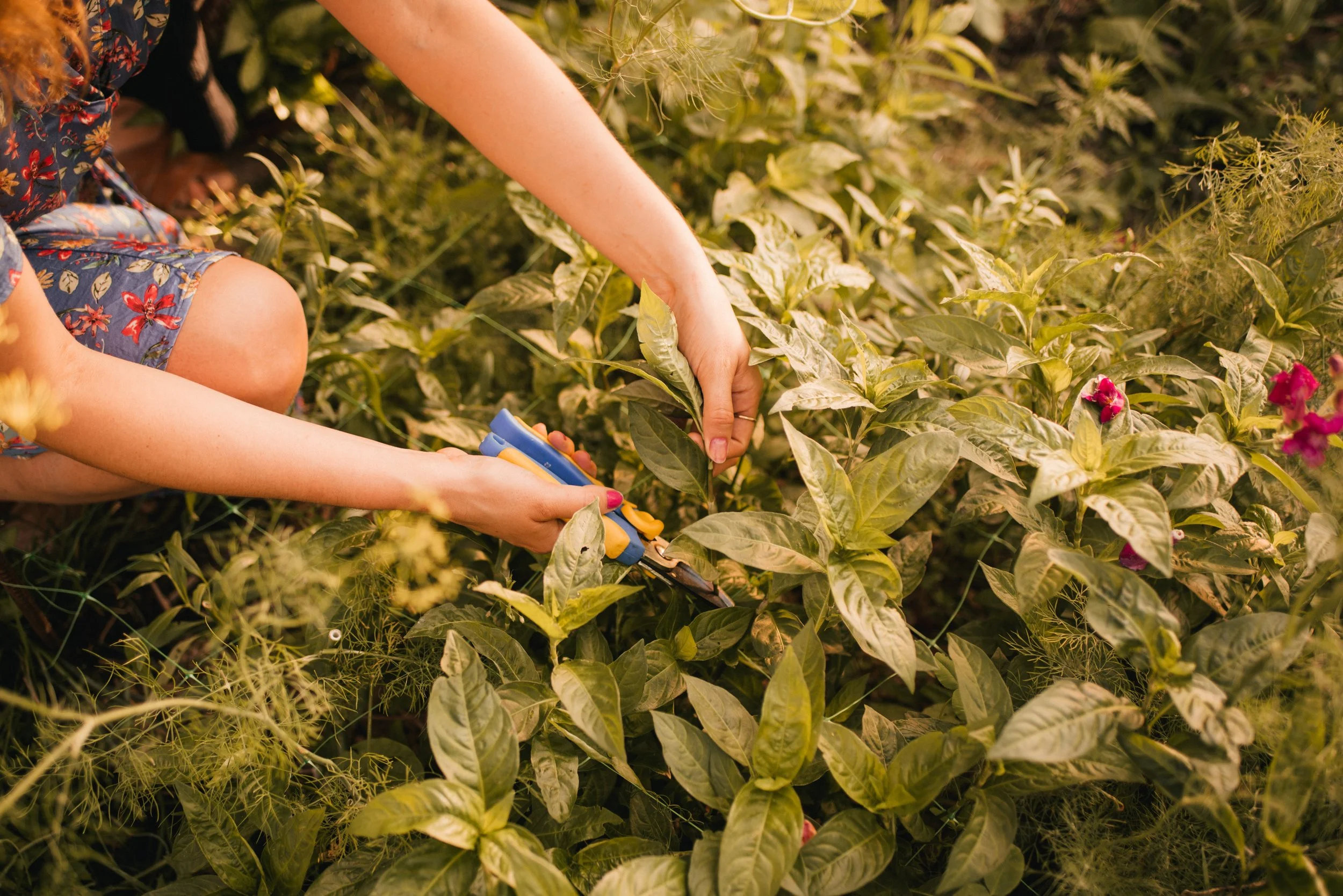 About — Masagana Flower Farm & Studio