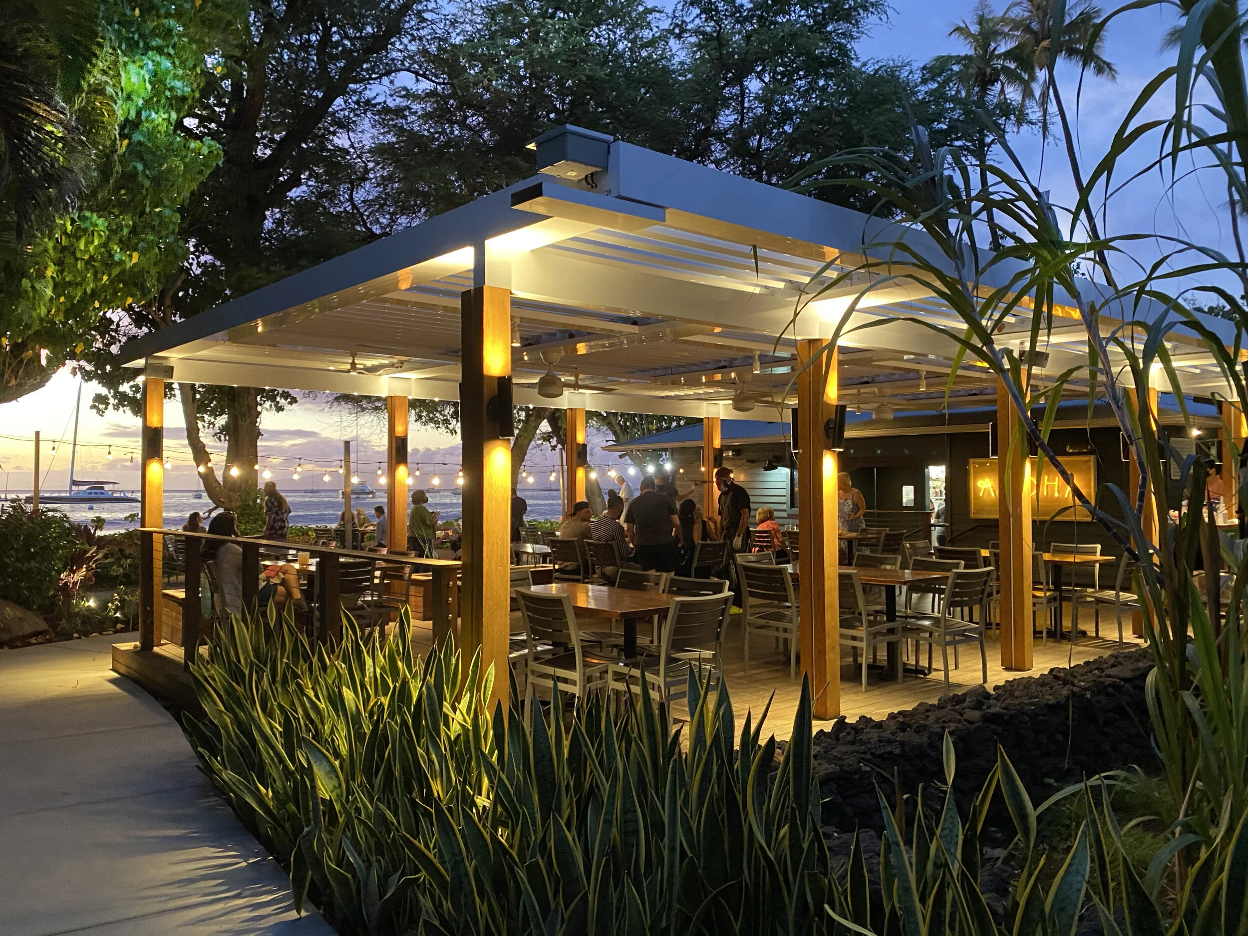 About — Star Noodle v2